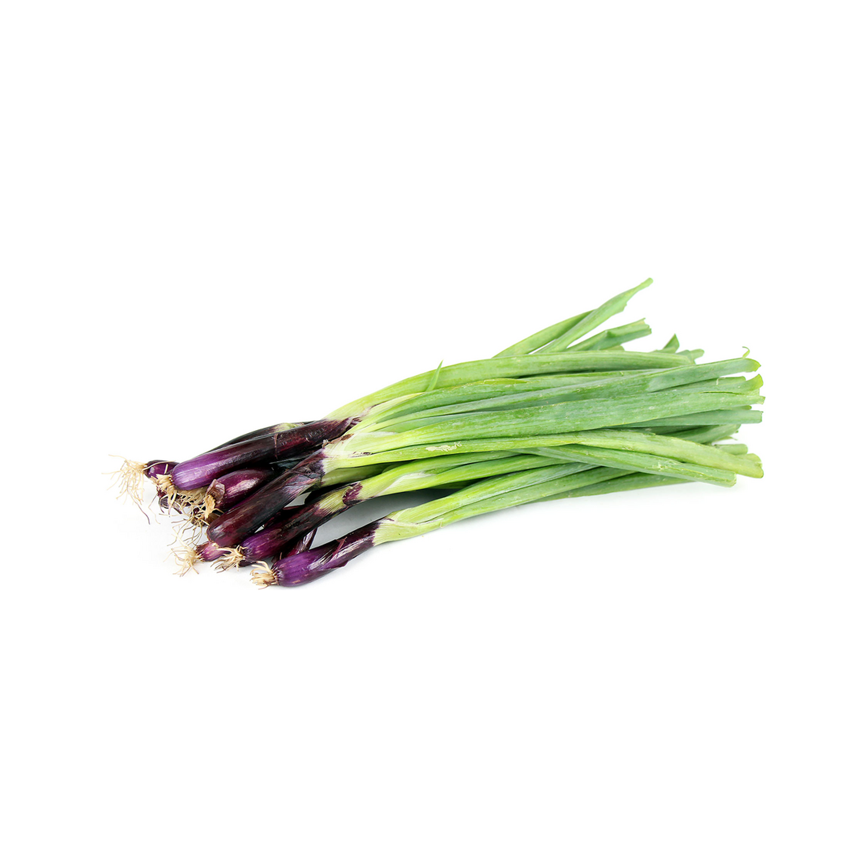 Escallion (Approx 100g) | Starfish Market